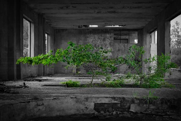 The alienation from nature - einwandeins - photography and music | berlin